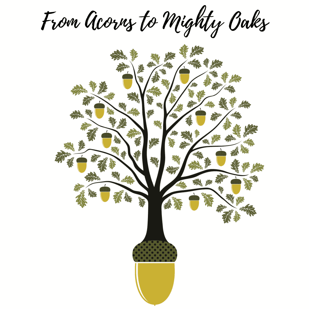 From Acorns to Mighty Oaks! - StarterStudio